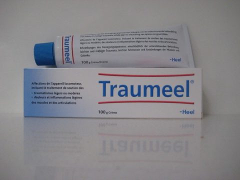 TRAUMEEL CREME HEEL (100G) - Pharmaproducts